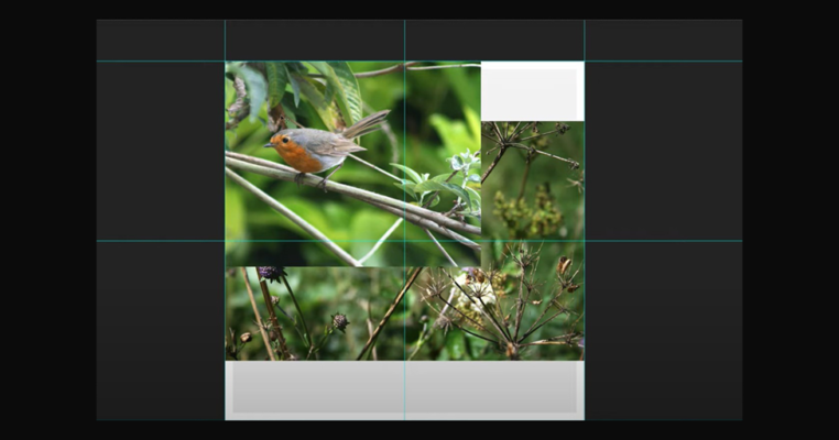 How to Make a Photo Grid in Photoshop | Step-by-Step Guide for Beginners
