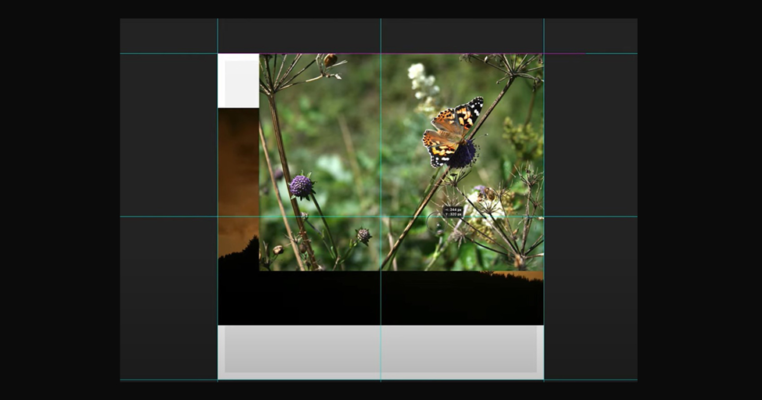 How to Make a Photo Grid in Photoshop | Step-by-Step Guide for Beginners