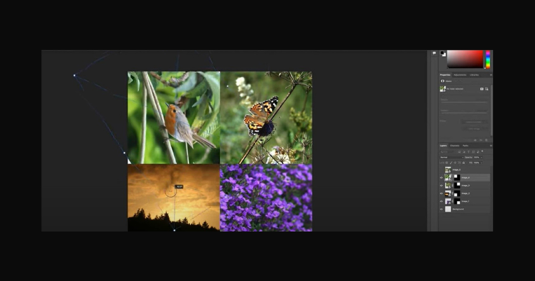 How to Make a Photo Grid in Photoshop | Step-by-Step Guide for Beginners